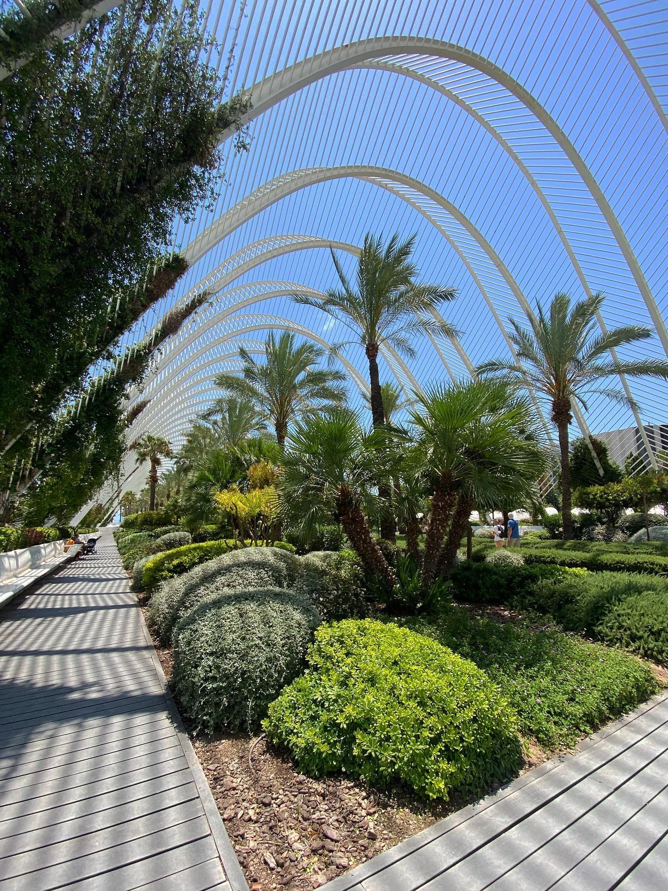 Bezoek de bijzondere tuin l'Umbracle in Valencia | Tips