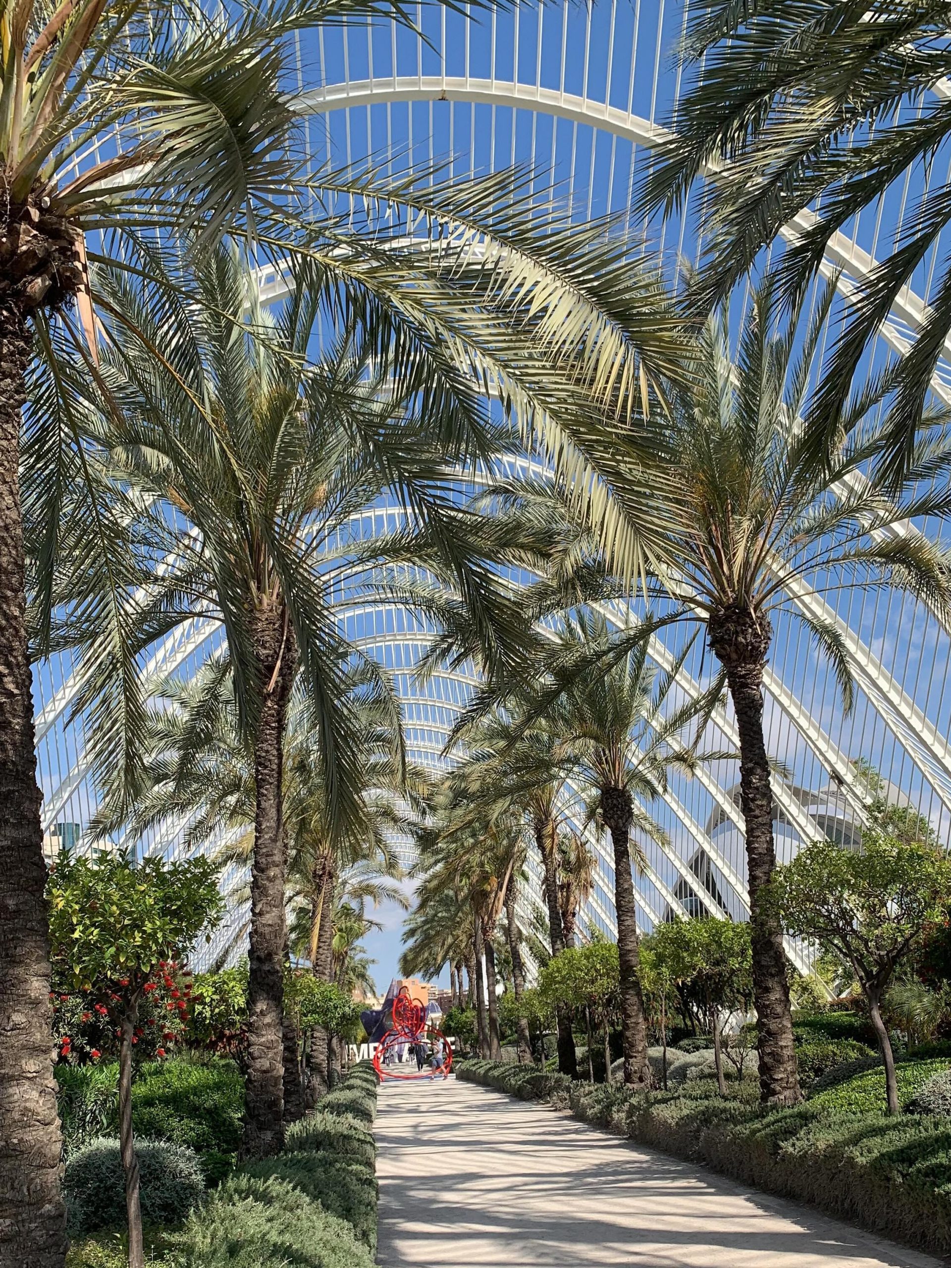 Bezoek de bijzondere tuin l'Umbracle in Valencia | Tips