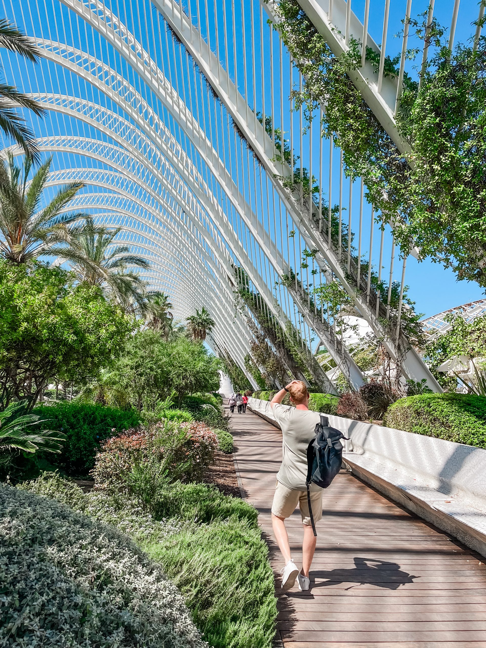 Bezoek de bijzondere tuin l'Umbracle in Valencia | Tips